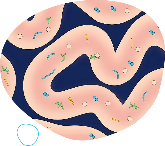 O que é Microbiota Intestinal – Guia Floratil
