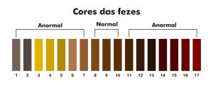 Cor das fezes: o que isso diz sobre sua saúde?